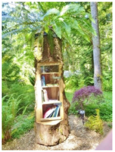 Little Free Libraries – Lake Wilderness Arboretum